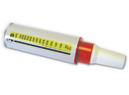 Peak Flow Meter Mini Wrights Standard Range | My Website